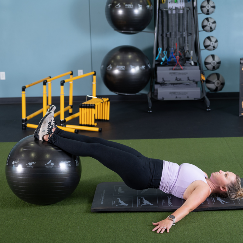 Studio Stability Balls - Prism Fitness
